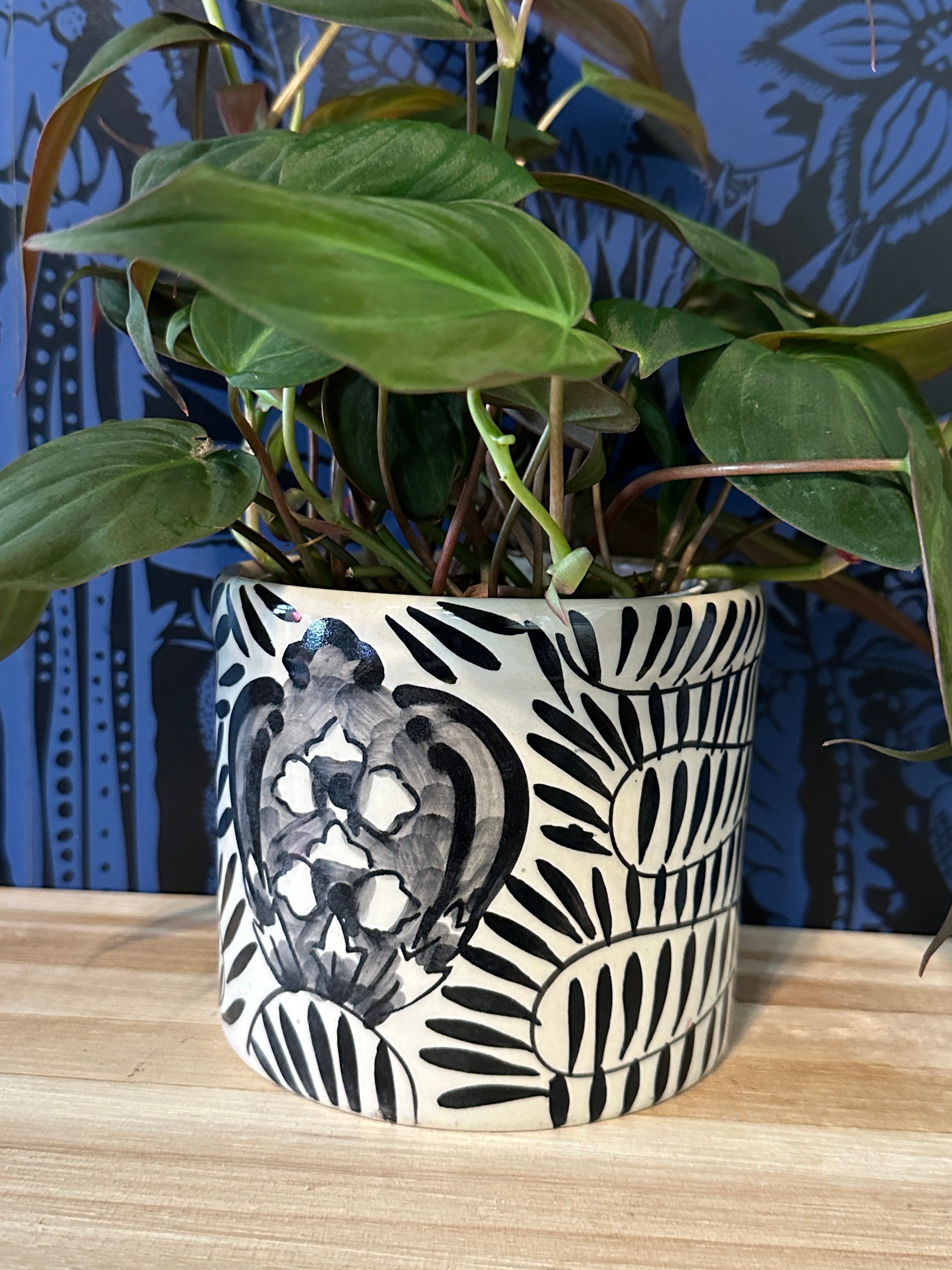 Creme Monochrome Cachepot | Fibonacci Plants