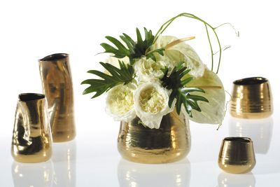 Tegan Collection | Fibonacci Plants