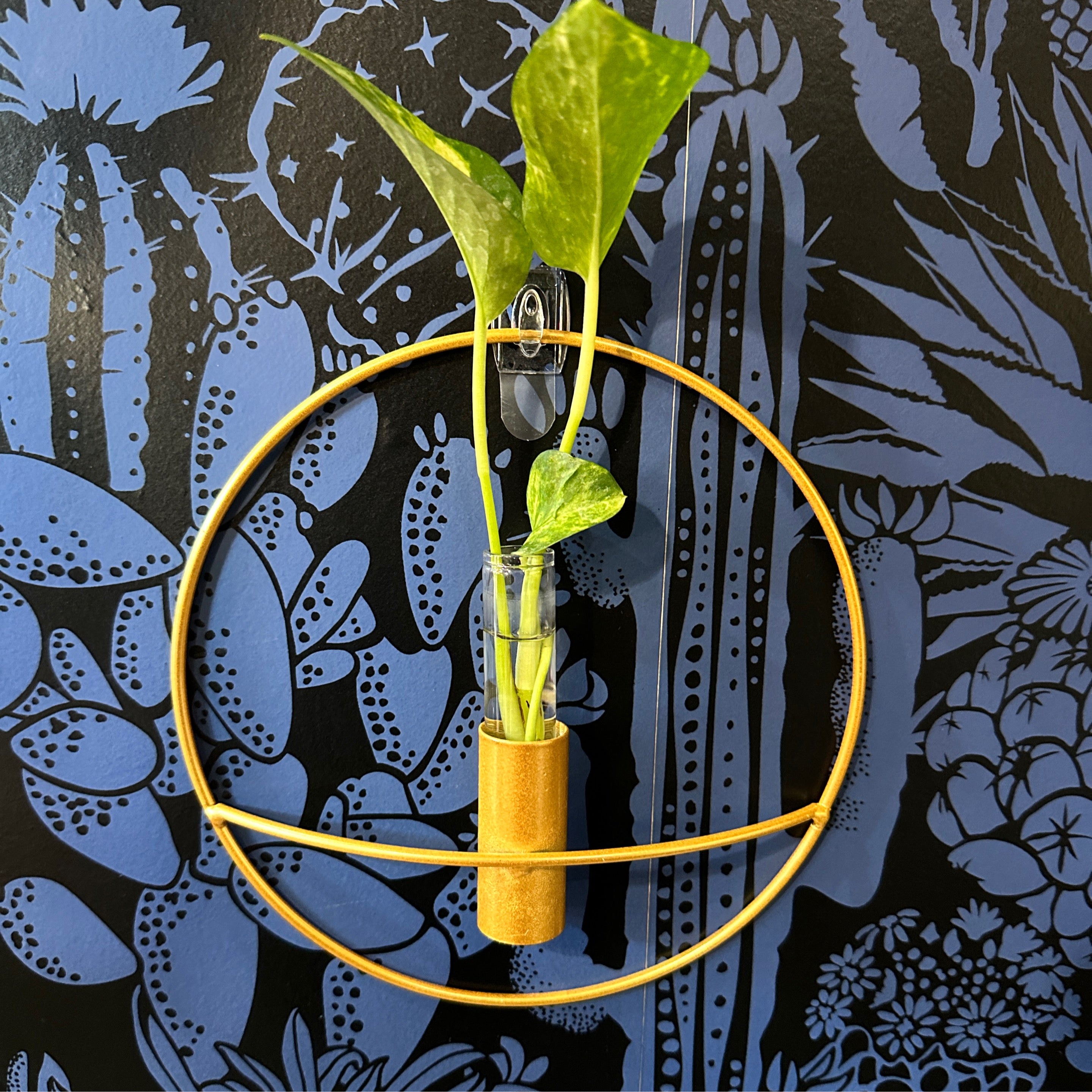 Prop Vase Ring | Fibonacci Plants