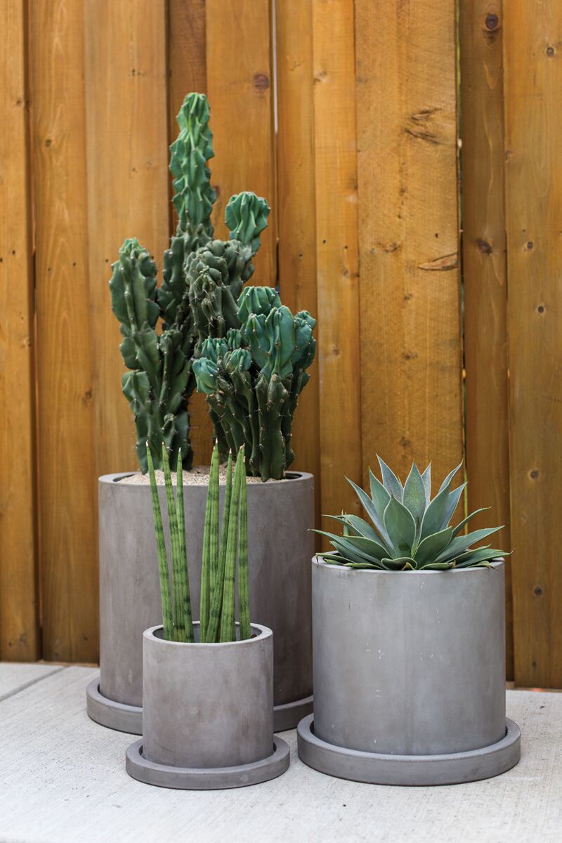 Marta Pot with Saucer | Fibonacci Plants