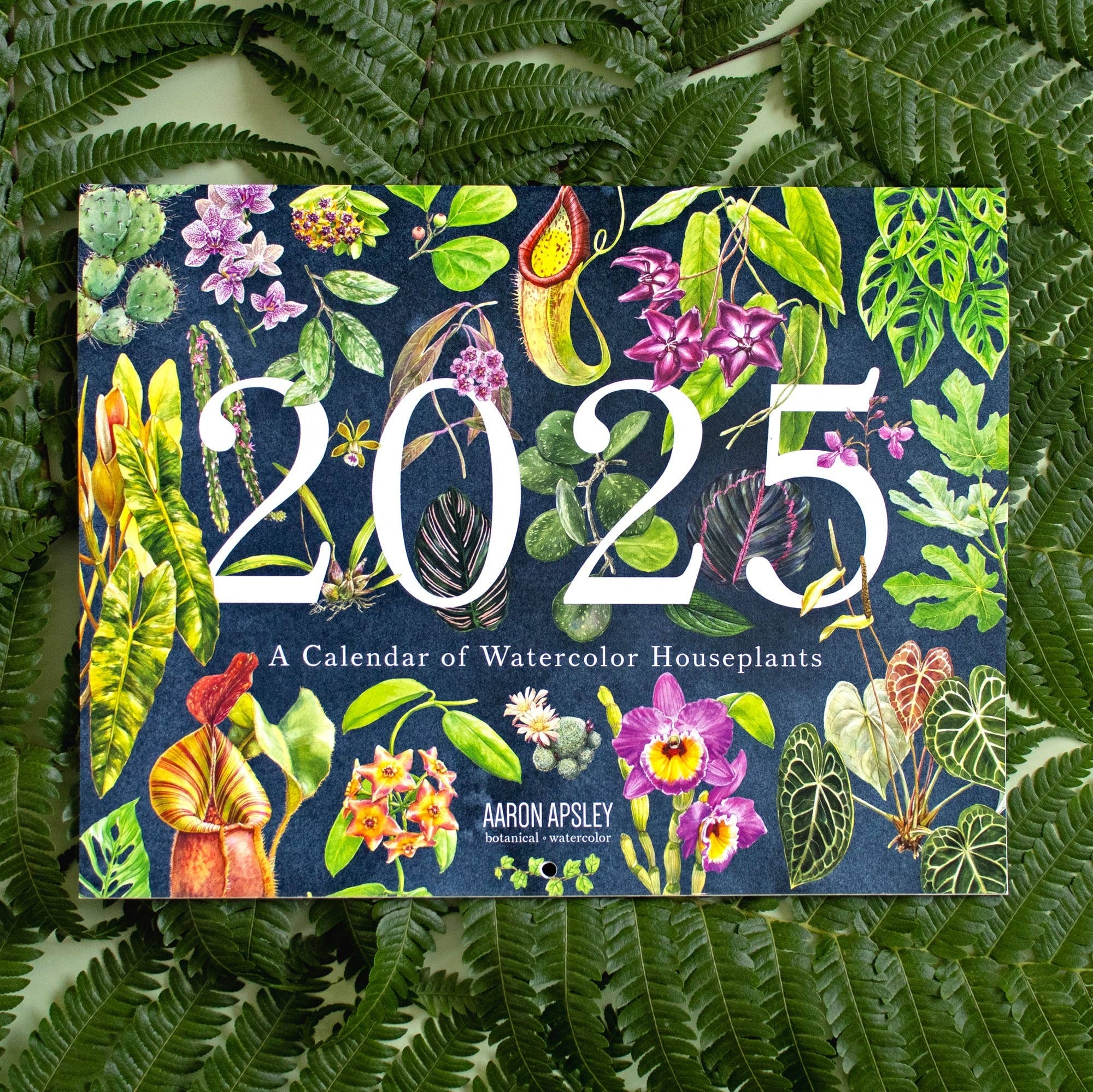 2025 Botanical Illustration Wall Calendar | Fibonacci Plants