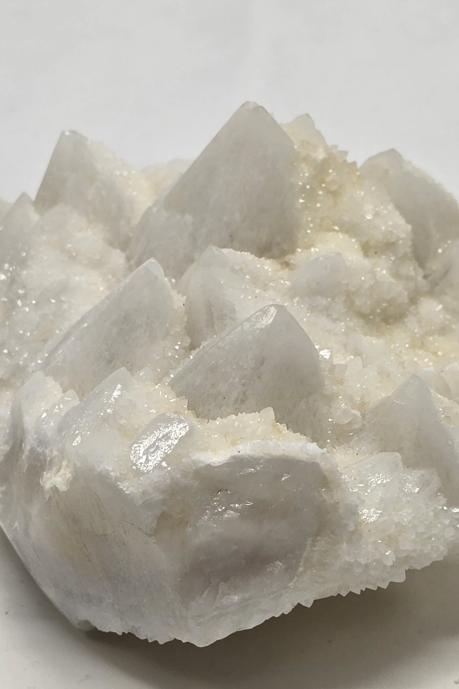 Corn Cob Quartz | Fibonacci Plants