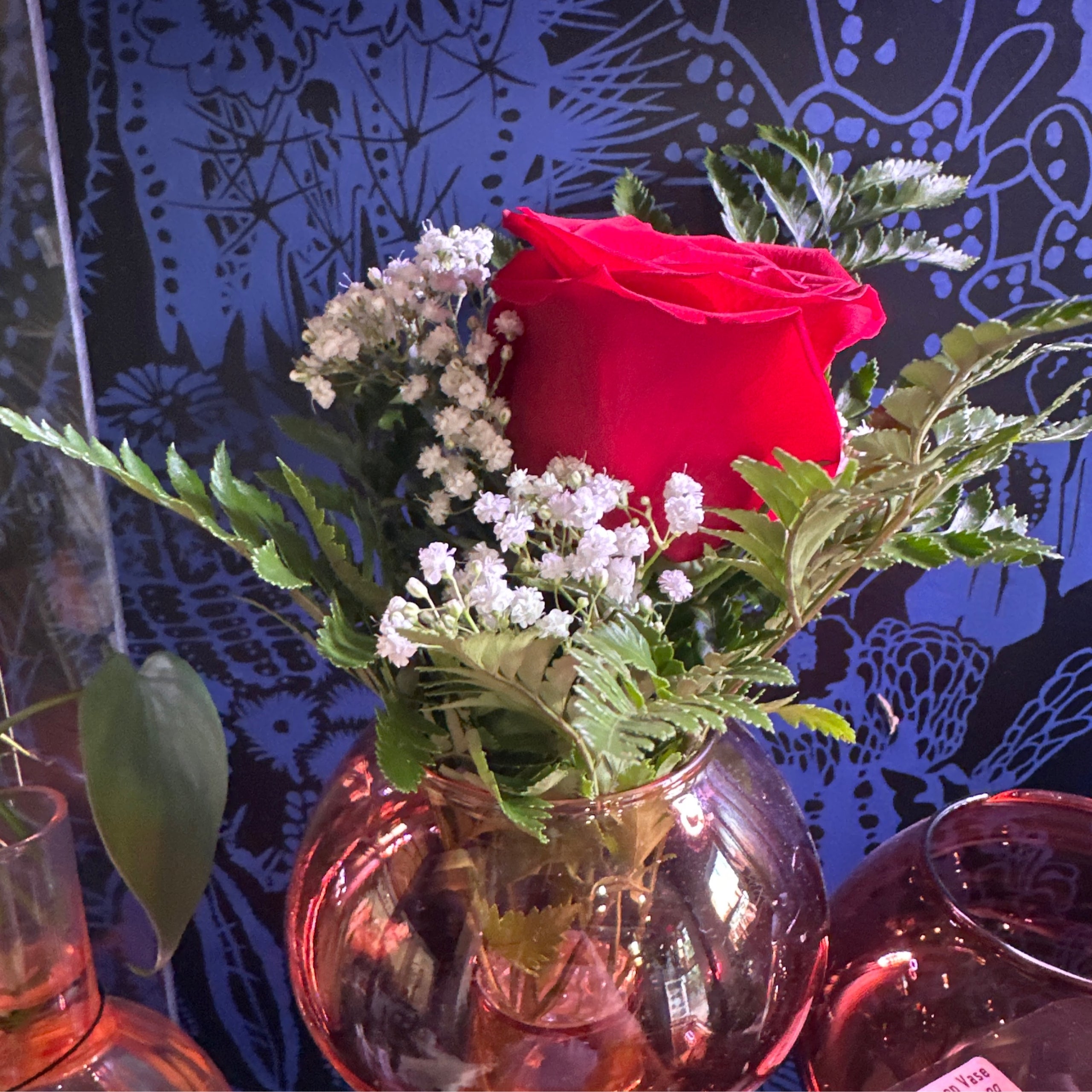 Single Stem Rose | Fibonacci Plants