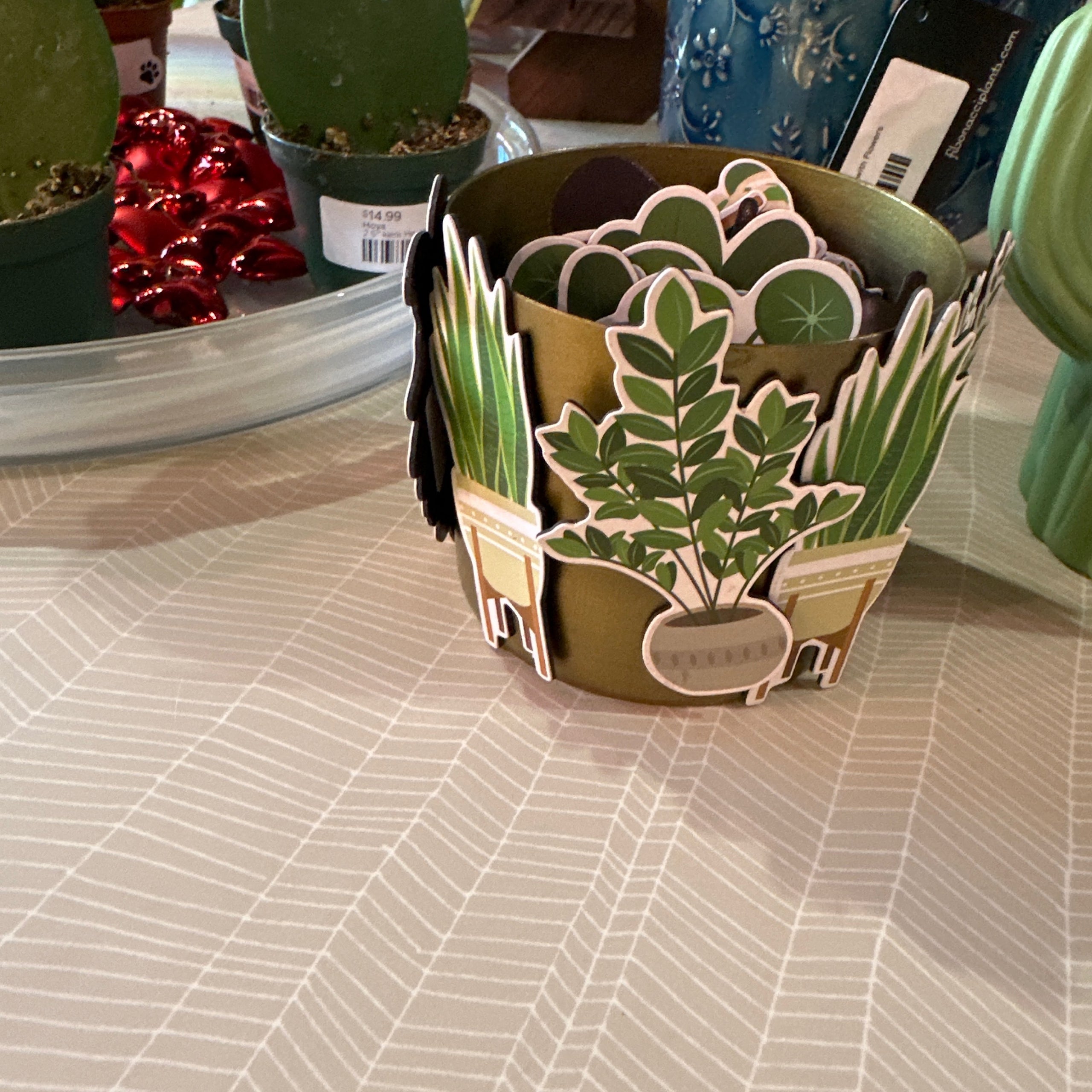 Plant Magnet | Fibonacci Plants